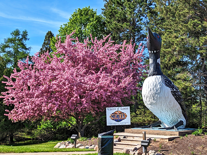 Claire d&rsquo; Loon 1