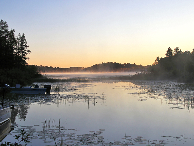 Claire d&rsquo; Loon 9