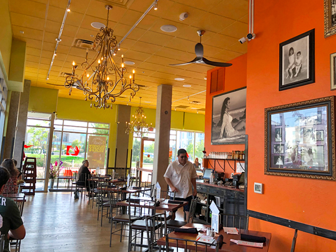 Cubanitas Oak Creek 2