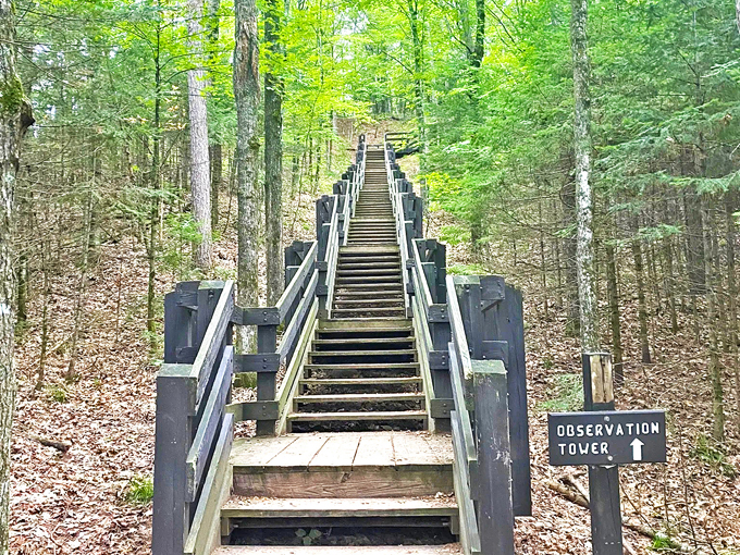 Doughboy&rsquo;s Nature Trail 1