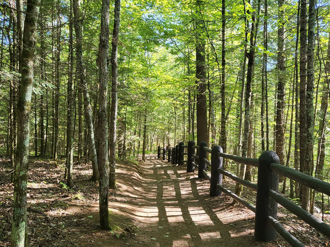 Doughboy&rsquo;s Nature Trail 2