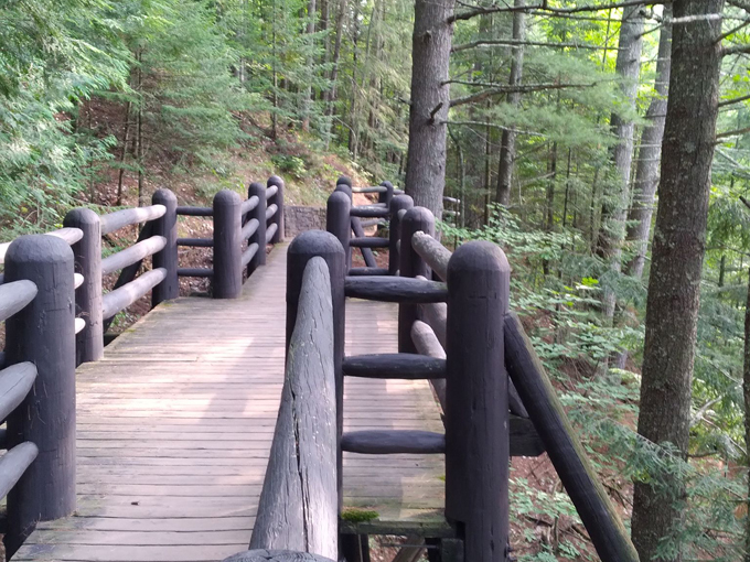 Doughboy&rsquo;s Nature Trail 4