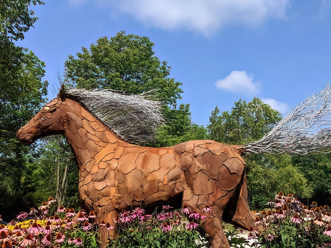 edgewood orchard galleries 1