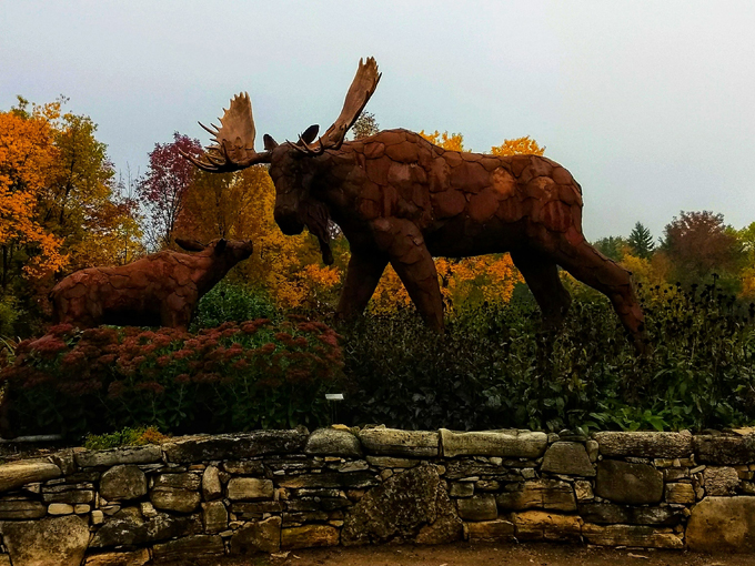 edgewood orchard galleries 5