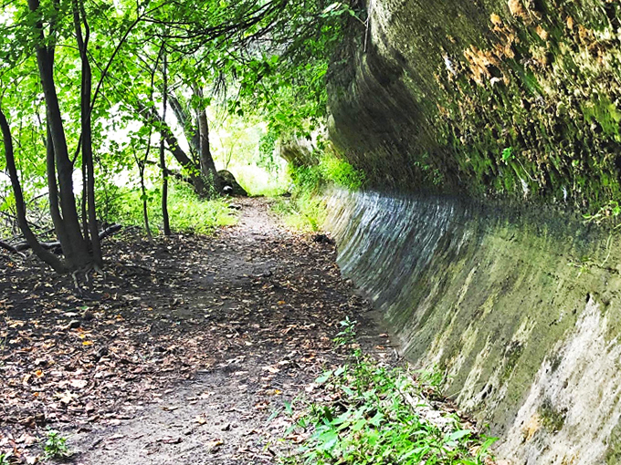 Ferry Bluff State Natural Area 3