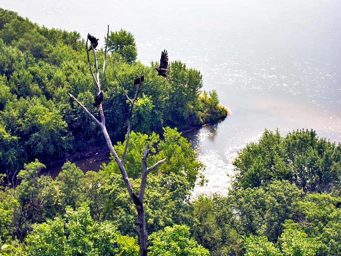 Ferry Bluff State Natural Area 8