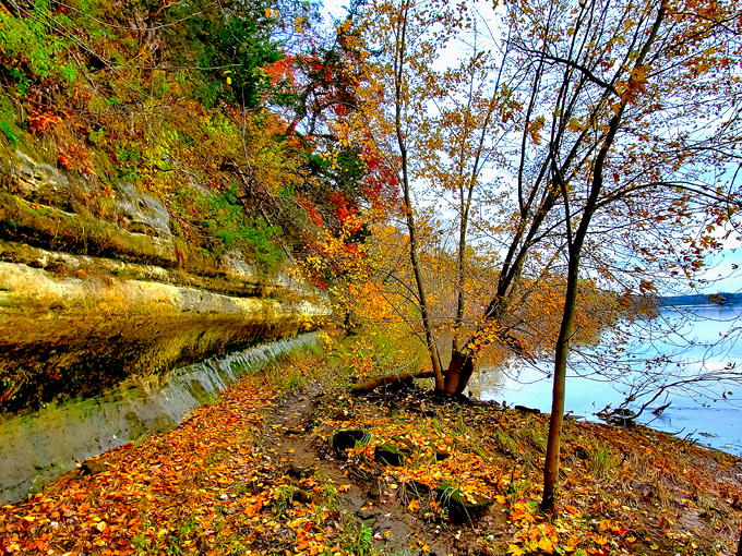Ferry Bluff State Natural Area 9