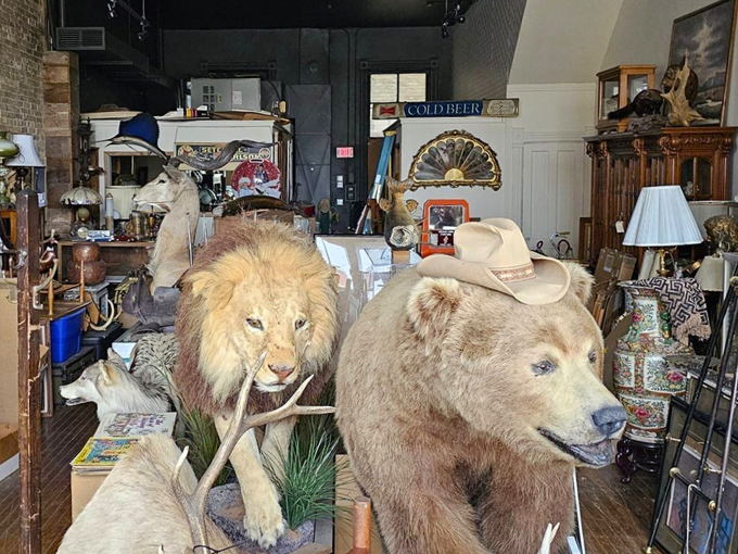 Forty Three Skulls 3