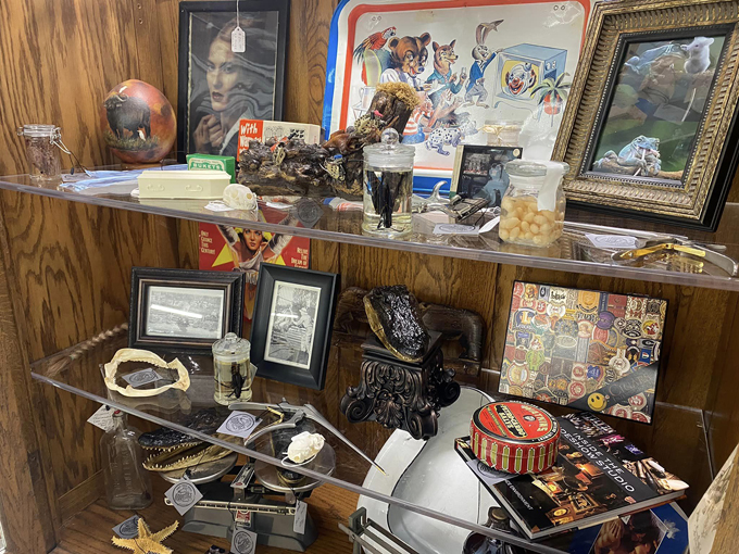 Forty Three Skulls 7