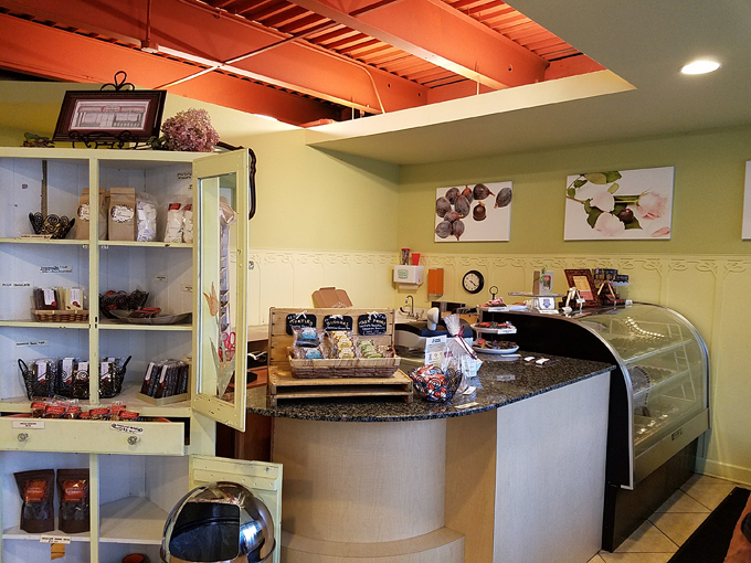 Gail Ambrosius Chocolatier 9