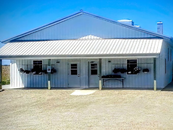 Gibson Corner Grocery 1