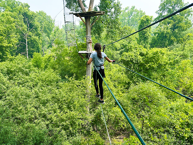 Go Ape Zipline and Adventure Park 1