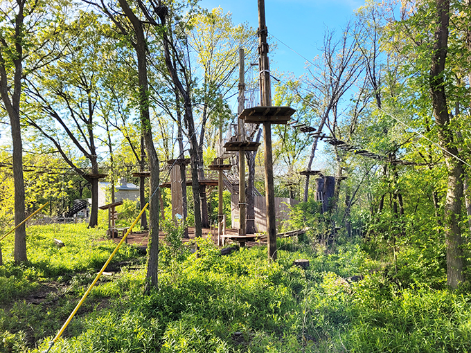 Go Ape Zipline and Adventure Park 2