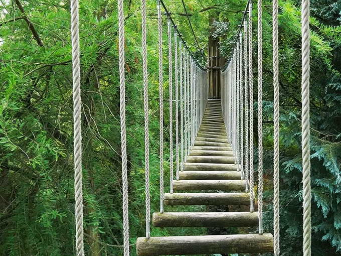 Go Ape Zipline and Adventure Park 5