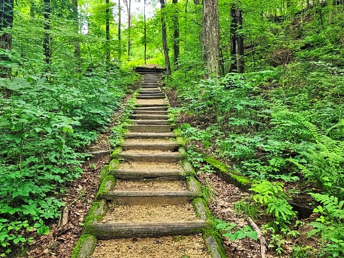 Governor Dodge State Park 1