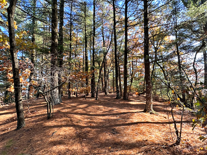 governor dodge state park 3