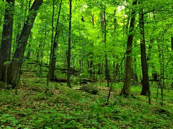 governor dodge state park 8