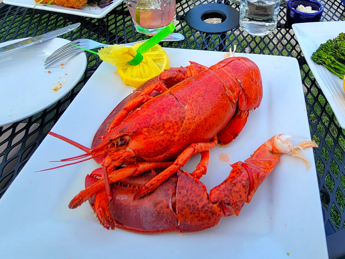 Harbor Fish Market & Grille 5