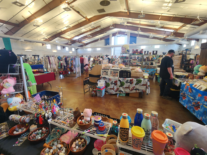 Kane County Flea Market 3