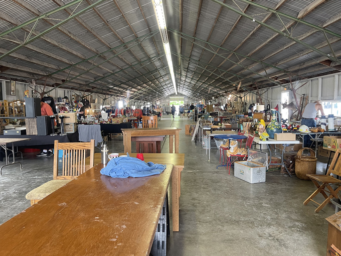 Kane County Flea Market 7