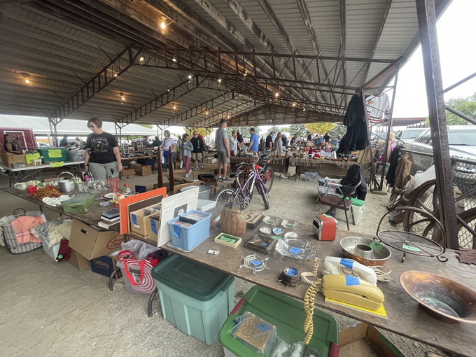 Kane County Flea Market 9