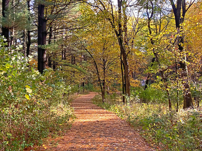 Kettle Moraine State Forest 1