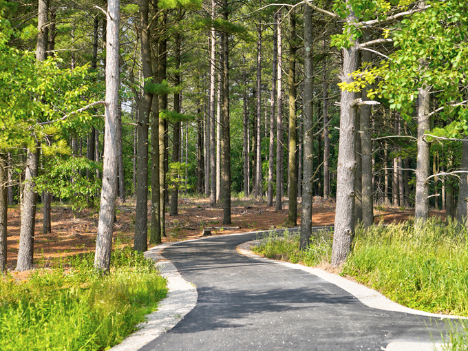 Kettle Moraine State Forest 6