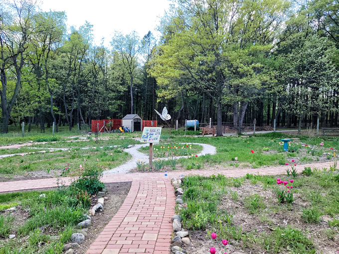 Kettle Moraine State Forest 9