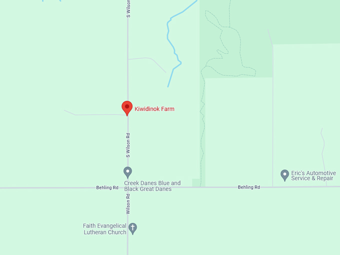 Kiwidinok Farm 10 Map