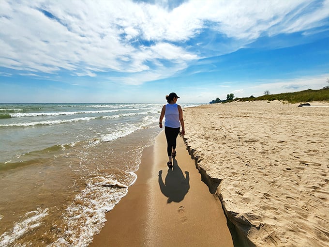 Kohler-Andrae State Park 1