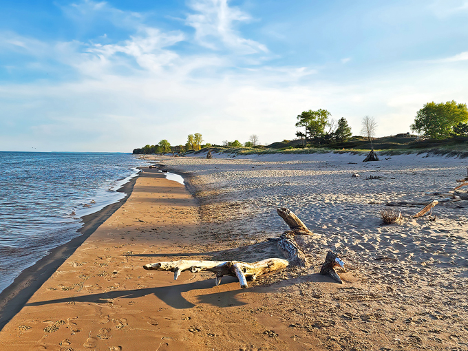 Kohler-Andrae State Park 2