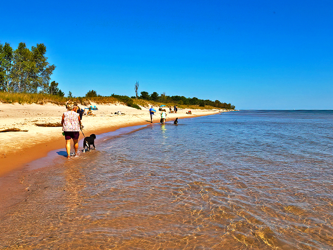 Kohler-Andrae State Park  3