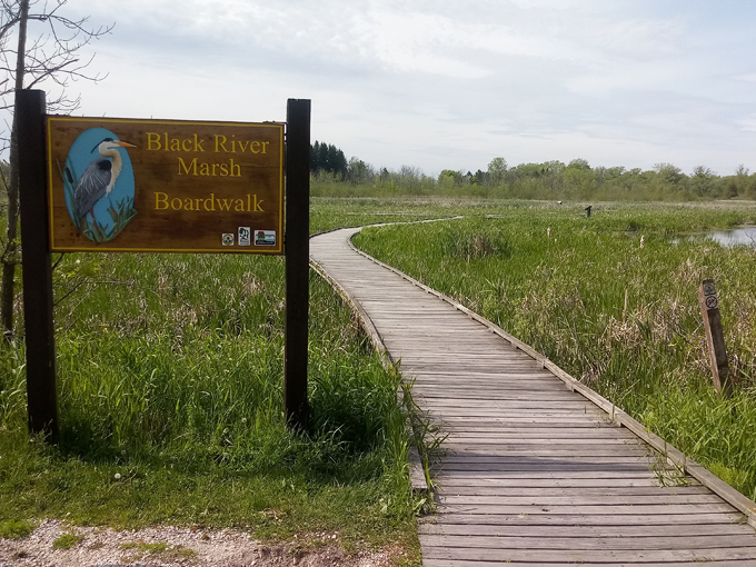 Kohler-Andrae State Park 6