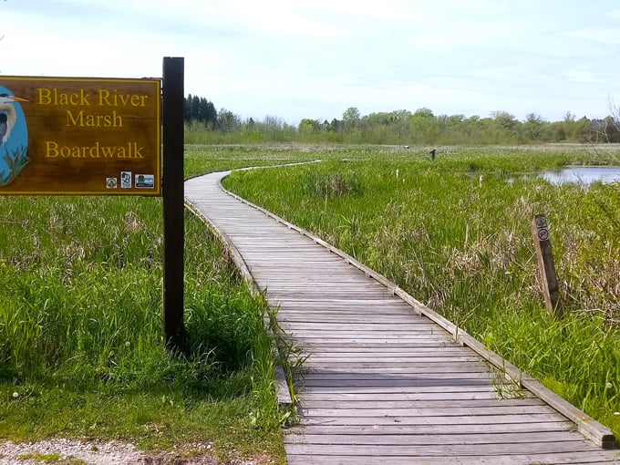Kohler-Andrae State Park 7