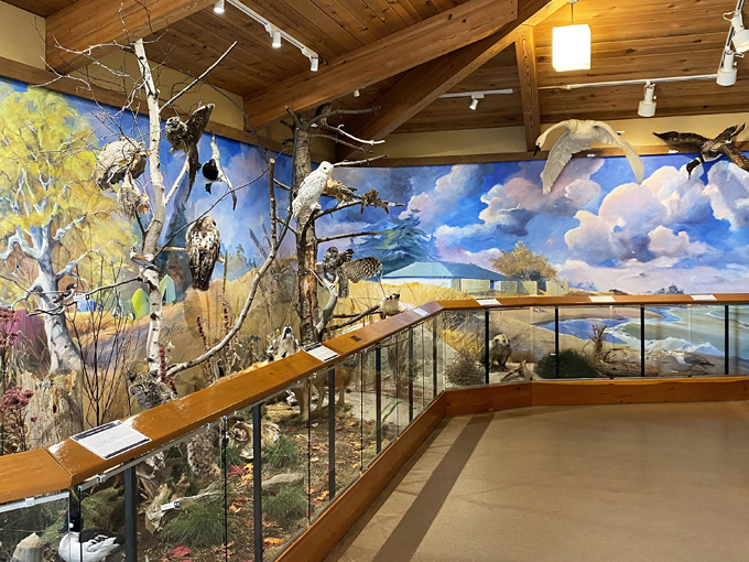 Kohler-Andrae State Park 7