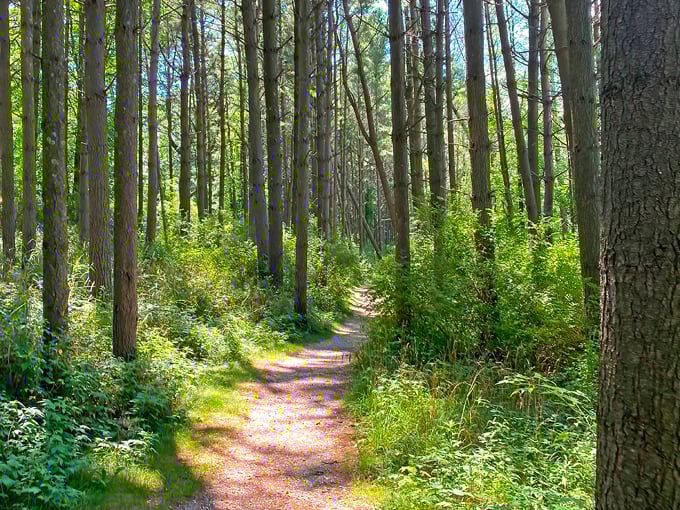 Kohler-Andrae State Park 8