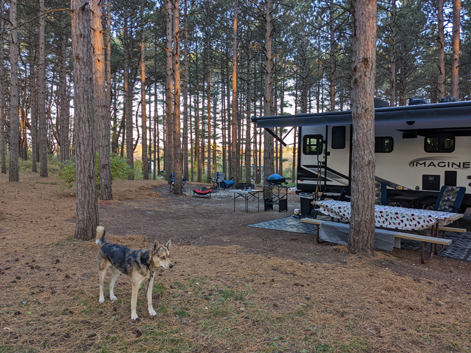 Kohler-Andrae State Park 8