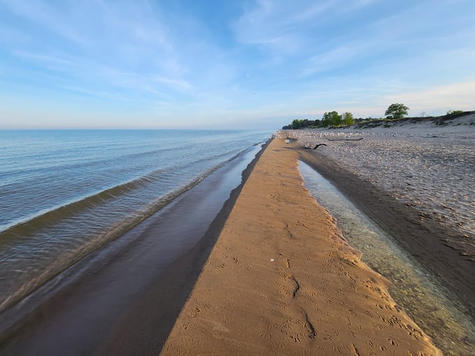 Kohler-Andrae State Park 9