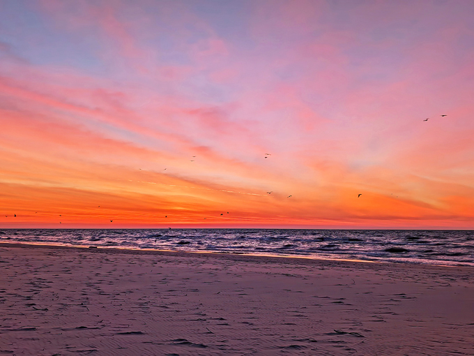 Kohler-Andrae State Park 9