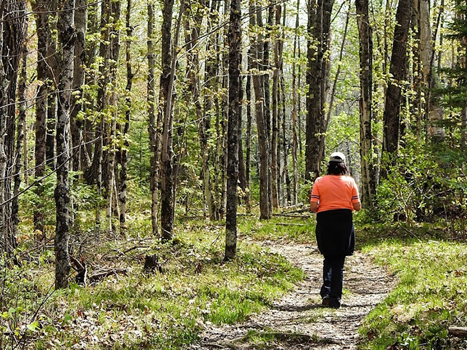 LaSalle Falls Trailhead 1