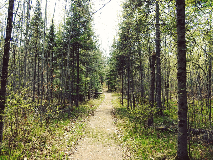 LaSalle Falls Trailhead 4