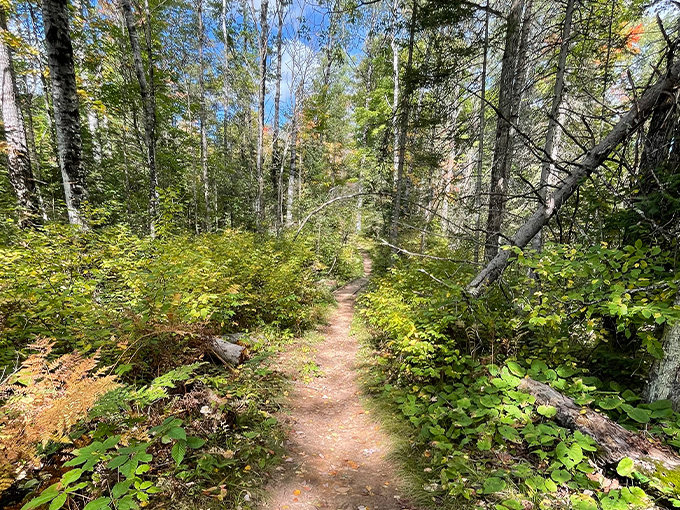 LaSalle Falls Trailhead 7