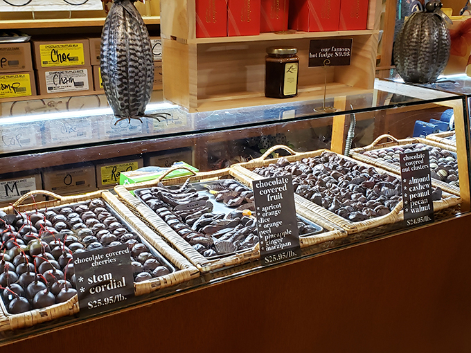 Lagomarcino's Confectionery 2