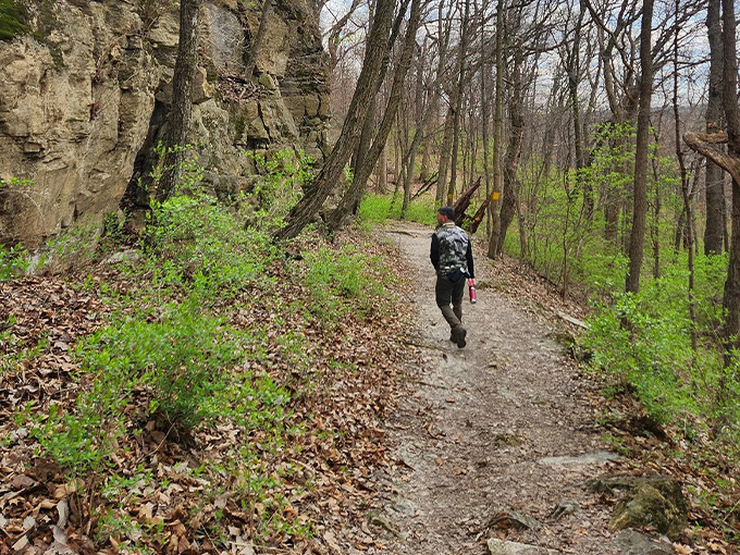 McAdams Peak Trail 1