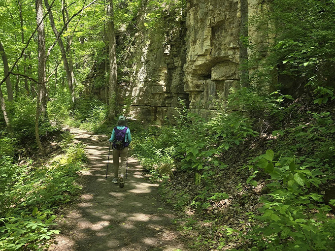 McAdams Peak Trail 3