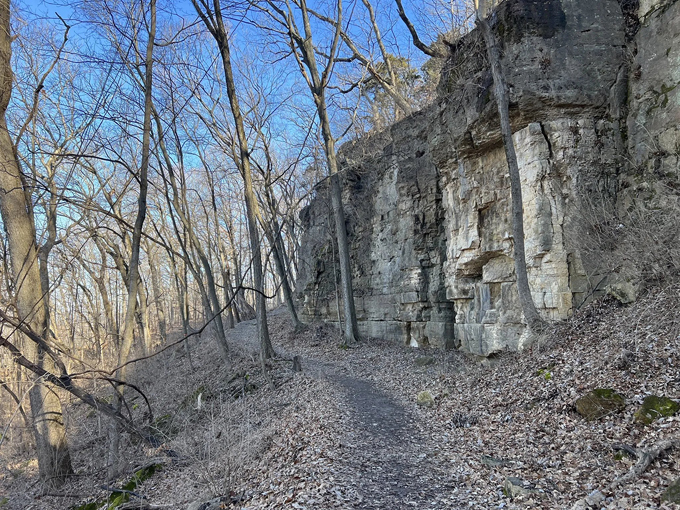 McAdams Peak Trail 6