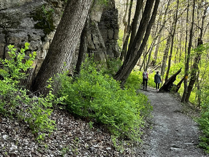 McAdams Peak Trail 7