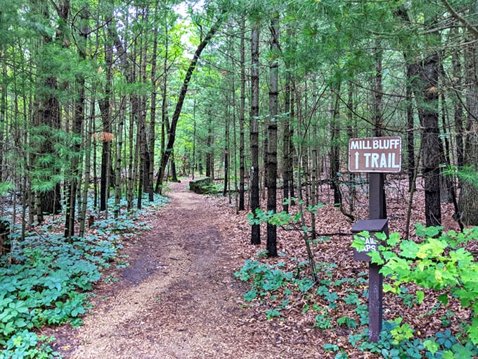Mill Bluff State Park 3