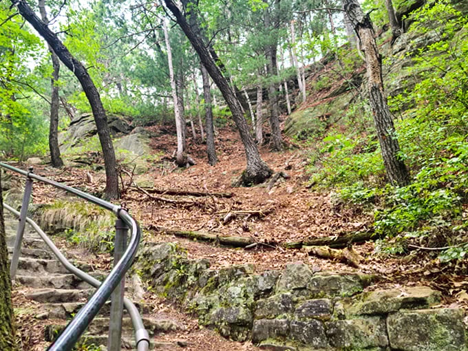 Mill Bluff State Park 5