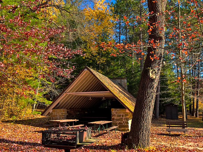 Mill Bluff State Park 6